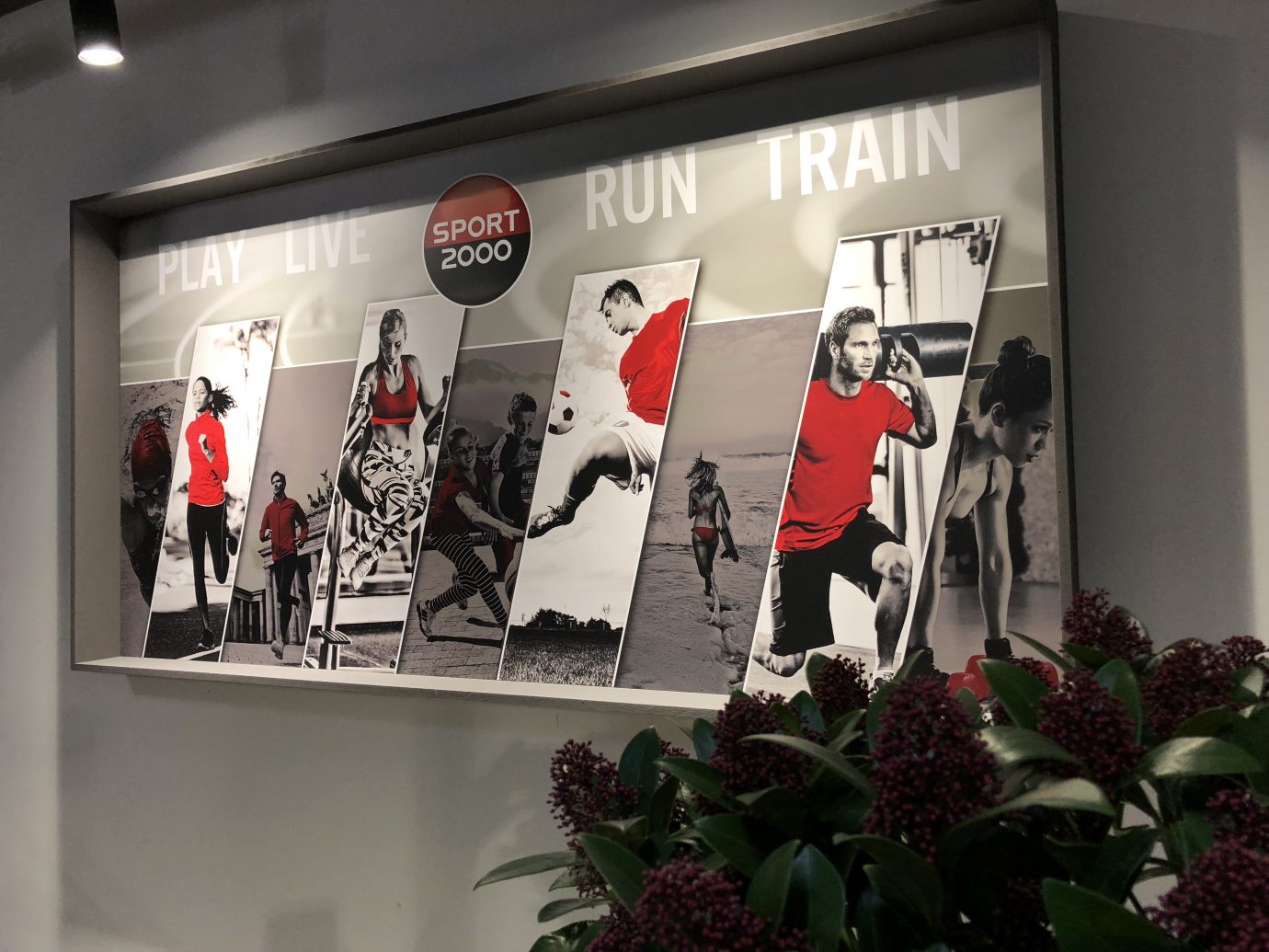 eelan eelan - print, sign & drukwerk